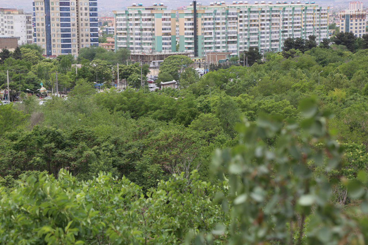 A view of Kabul city – Gardana-e Bagh-e Bala – DID PRESS AGENCY